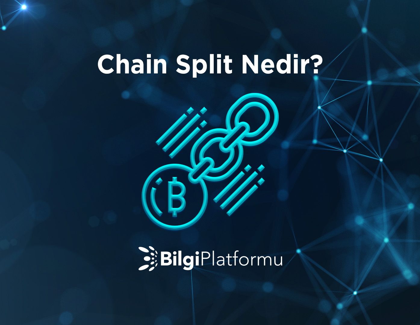 Chain Split Nedir? - BtcTurk Bilgi Platformu